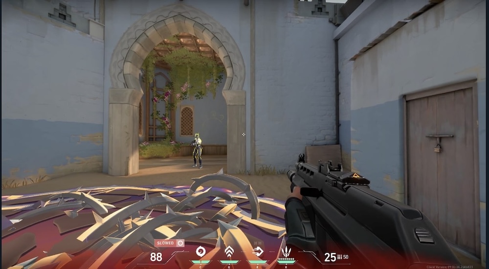 Vyse Valorant Agent All Abilities, Age and More