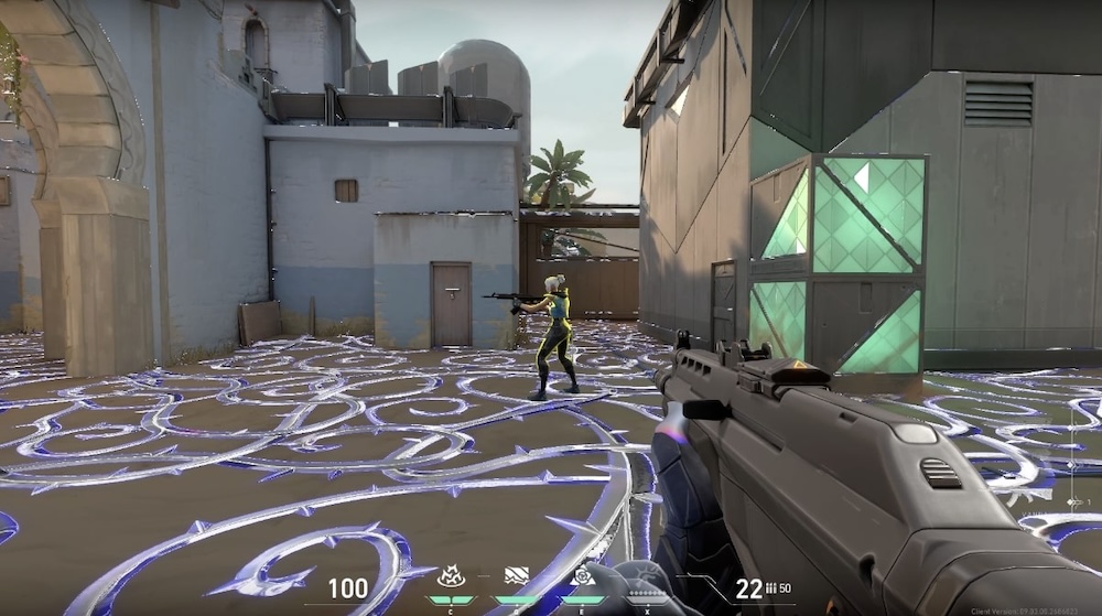 Vyse Valorant Agent All Abilities, Age and More