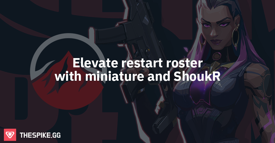 Elevate restart roster with miniature and ShoukR | VALORANT Esports ...