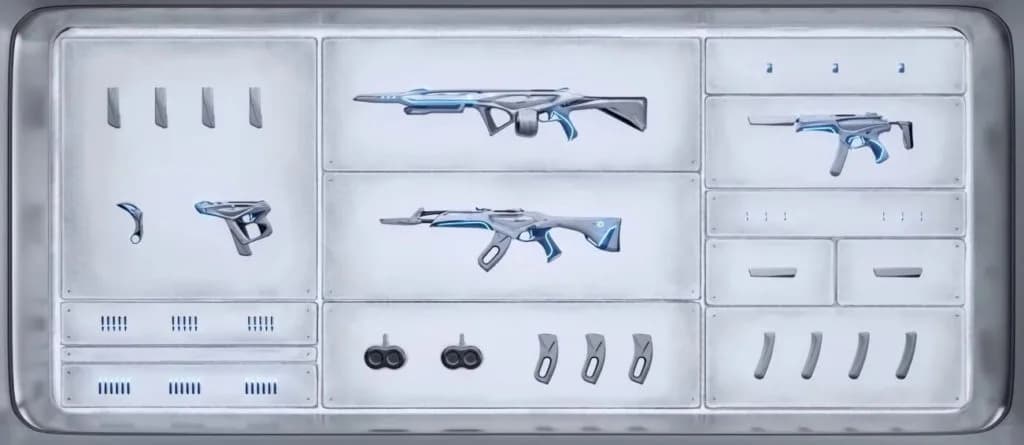 VALORANT gun skins