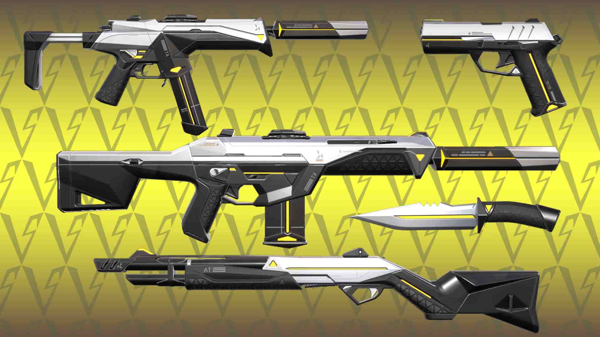 VALORANT gun skins