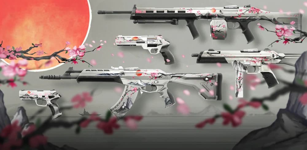 VALORANT gun skins